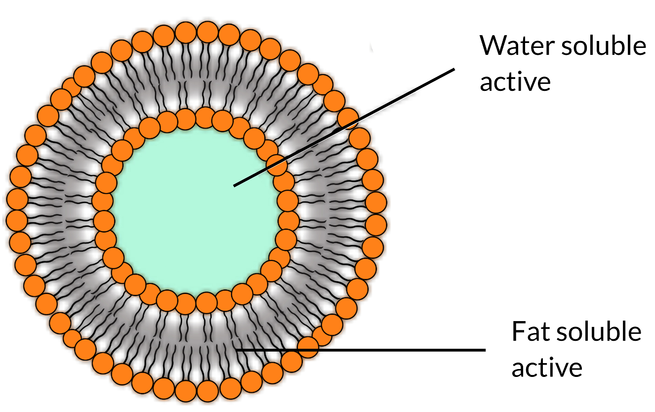 Liposome Encapsulation Technology - GMPriority Pharma - The Liposome